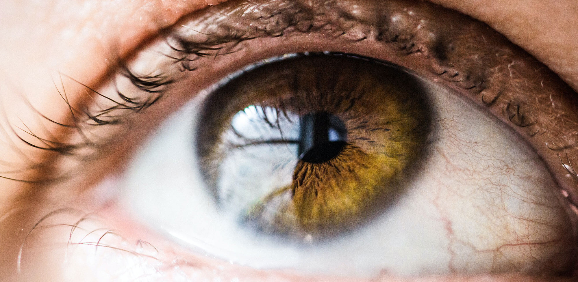 Augentropfen beim Sehtest - Wann sie wichtig sind